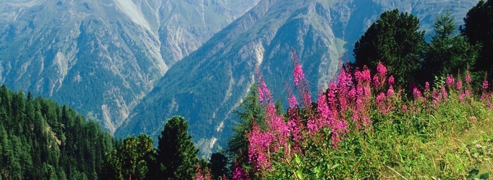 Is deep, passionate love in marriage actually real? – Hadith of the Day