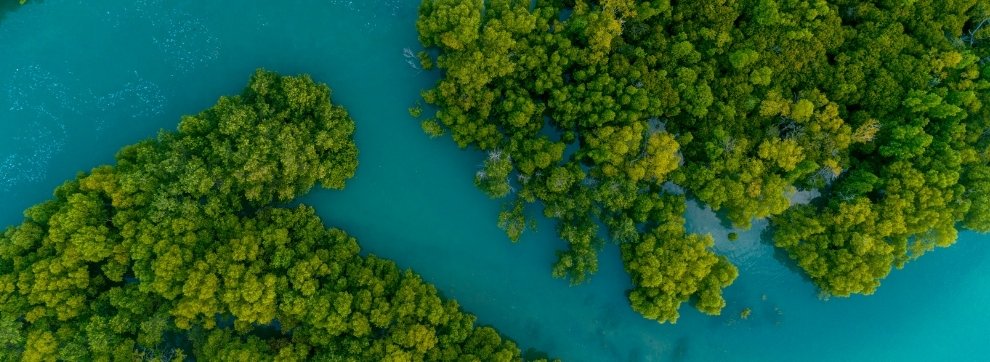 Marriage – Hadith of the Day