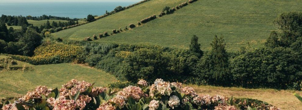 On Celebrating The Prophet’s Birthday (peace be upon him) – Shaykh ...