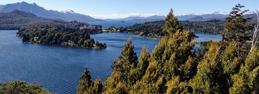 When Hearts go Hard: 5 Hadiths to Revive the Heart – Hadith of the Day