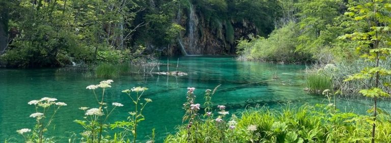 Demystifying the Qur’an – A Simplified Glimpse into Understanding the ...