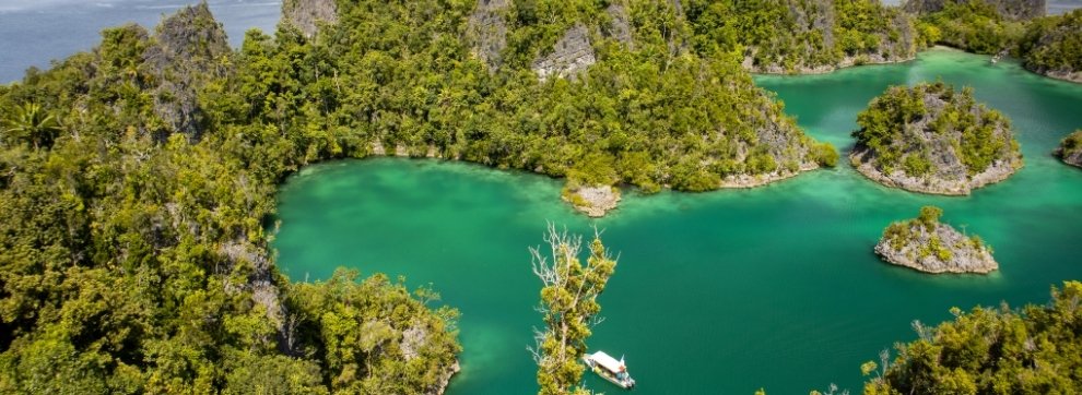 How did Prophet Mohammed Respond to Islamophobia? – Hadith of the Day