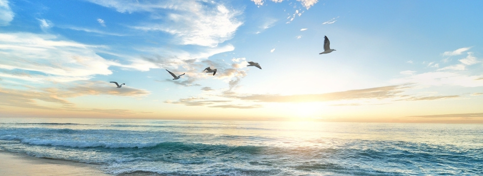 The Ultimate Guide to Makkah – Hadith of the Day