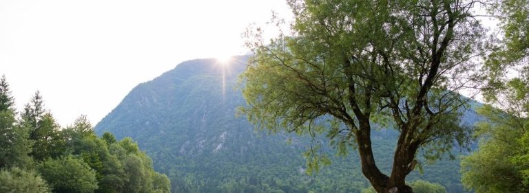 How to Deal with Emotional Challenges and Hardships – Hadith of the Day